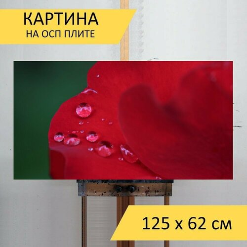 Картина на ОСП 125х62 см. "Капли дождя, красные лепестки, красная роза" горизонтальная, для интерьера, с креплениями