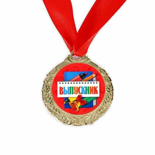 Медаль школьная на Выпускной «Выпускник», на ленте, золото, металл, d = 4 см (комплект из 14 шт)