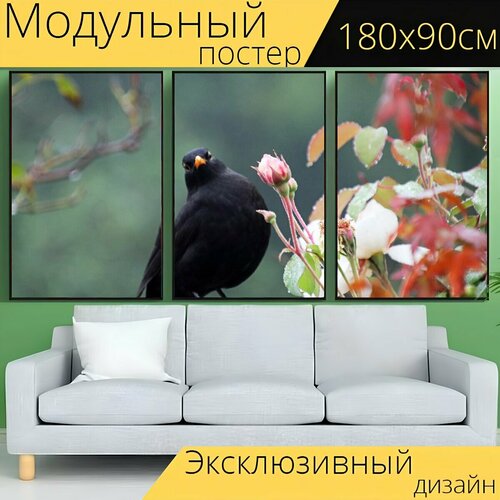Модульный постер "Птица, черный дрозд, клюв" 180 x 90 см. для интерьера
