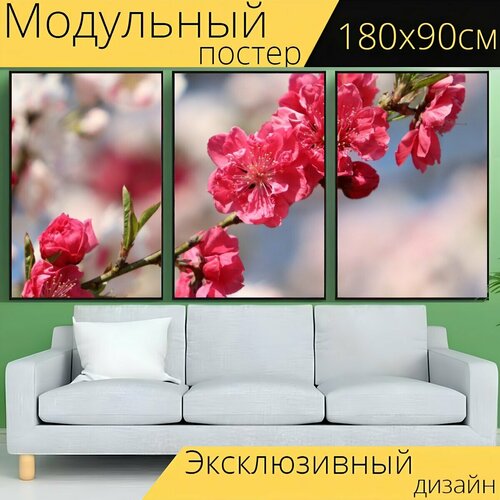 Модульный постер "Вишни в цвету, сложите вишни, весна" 180 x 90 см. для интерьера