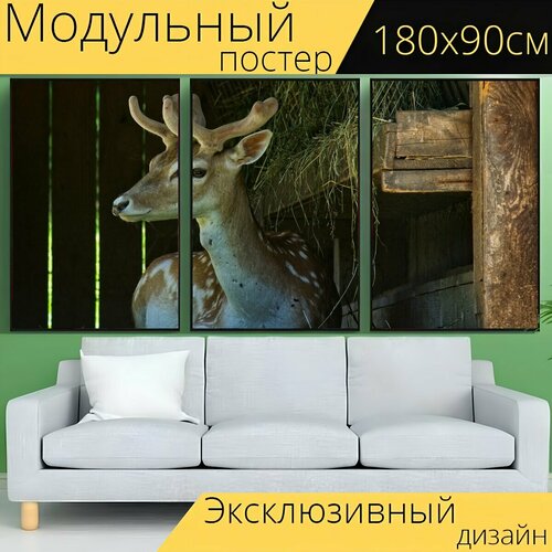Модульный постер "Лань, дамм диких, лесные животные" 180 x 90 см. для интерьера