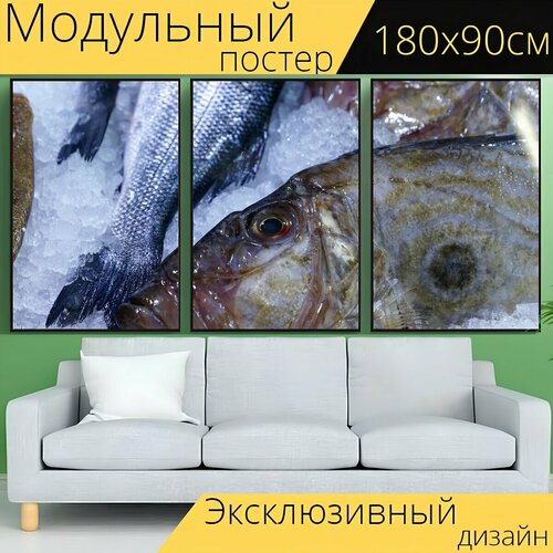 Модульный постер "Рыбы, дори, дорадо" 180 x 90 см. для интерьера