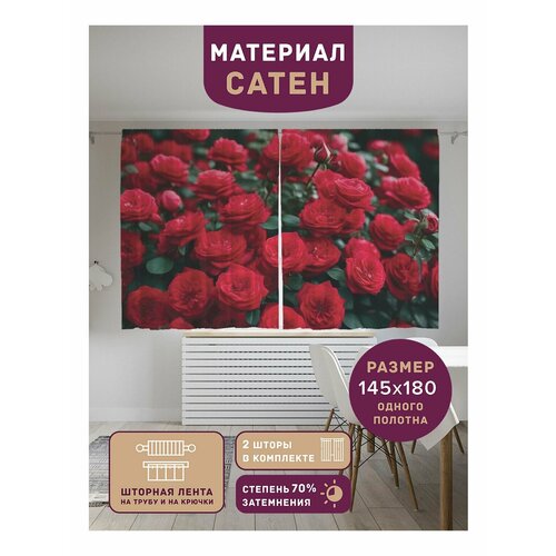 Фотошторы JoyArty для кухни и спальни "Куст роз", 2 полотна шириной по 145 см, высота 180 см, серия 8 марта