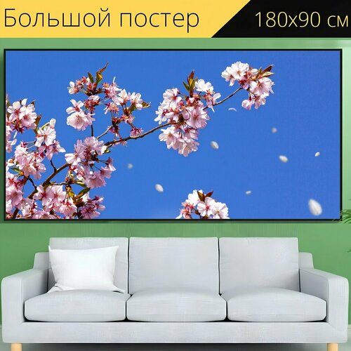 Большой постер "Весна, вишня в цвету, японская вишня" 180 x 90 см. для интерьера