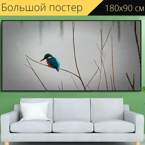 Большой постер "Зимородок, птица, филиал" 180 x 90 см. для интерьера