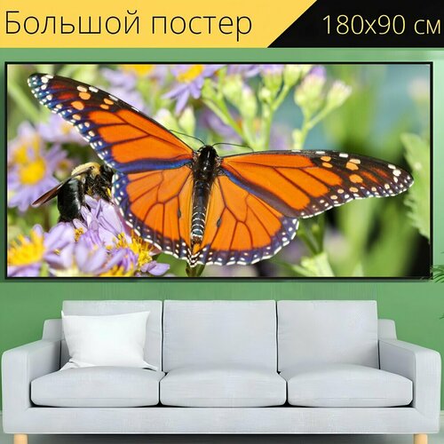 Большой постер "Монарх, бабочка, насекомое" 180 x 90 см. для интерьера