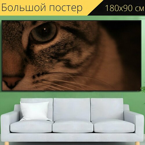Большой постер "Кошка, кот, животные" 180 x 90 см. для интерьера