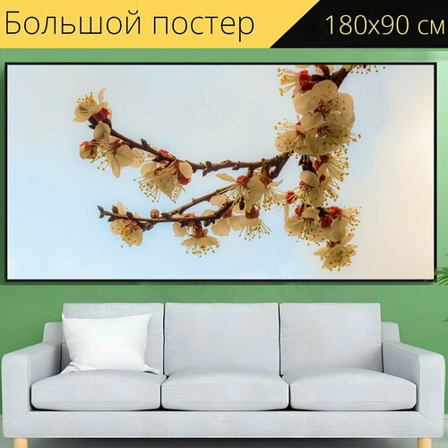 Большой постер "Миндальное дерево, цветы, весна" 180 x 90 см. для интерьера