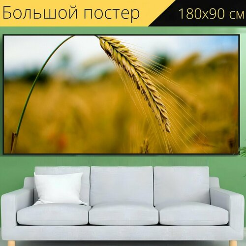 Большой постер "Рожь, зерно, пшеница" 180 x 90 см. для интерьера