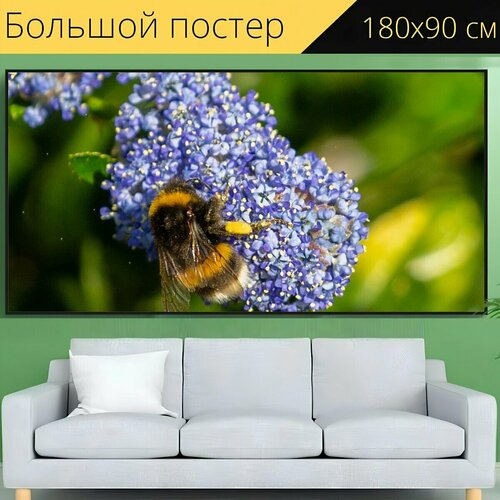 Большой постер "Шмель на цветке, пыльцы на пчелу, пчела на цветке" 180 x 90 см. для интерьера