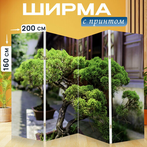 Ширма перегородка с принтом "Бонсай, дерево, китай" на холсте - 200x160 см. для зонирования, раскладная