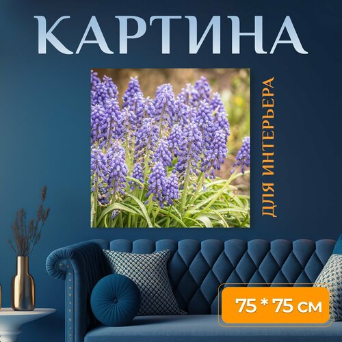 Картина на холсте "Гиацинт, цветок, весна" на подрамнике 75х75 см. для интерьера