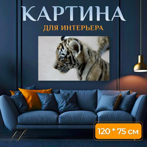 Картина на холсте "Тигр, детеныш, животное" на подрамнике 120х75 см. для интерьера