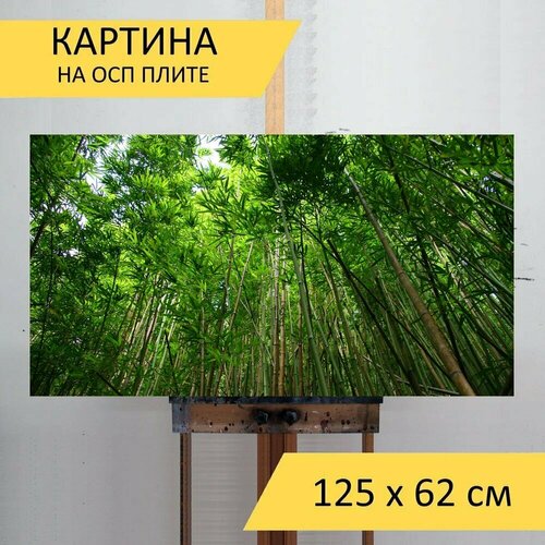 Картина на ОСП 125х62 см. "Бамбук, лес, пеший туризм" горизонтальная, для интерьера, с креплениями