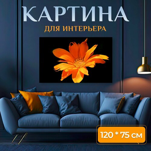 Картина на холсте "Цветок, оранжевый, сад" на подрамнике 120х75 см. для интерьера