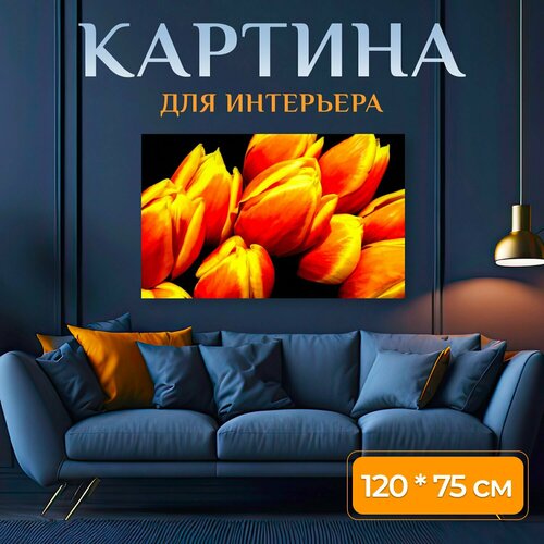 Картина на холсте "Цветок, тюльпан, природа" на подрамнике 120х75 см. для интерьера