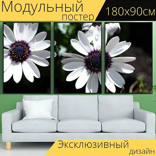 Модульный постер "Цветок, расцветает, белый" 180 x 90 см. для интерьера