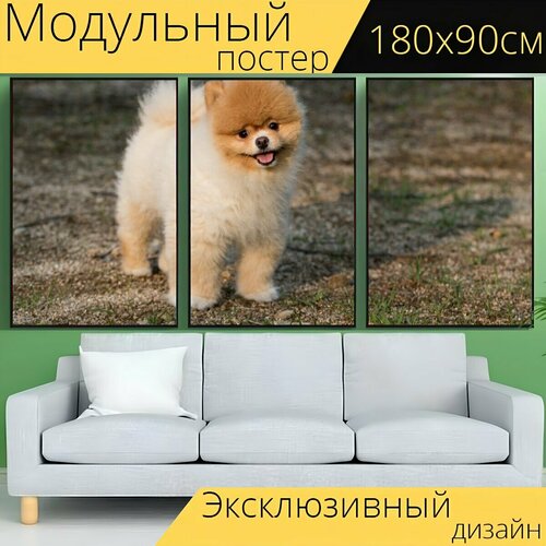 Модульный постер "Собака, животное, щенок" 180 x 90 см. для интерьера