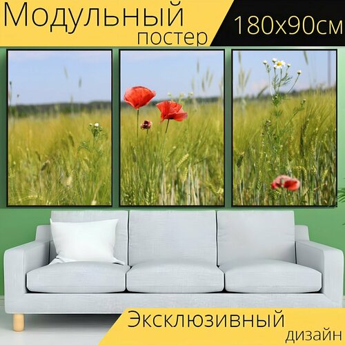 Модульный постер "Луг, цветы, полевые цветы" 180 x 90 см. для интерьера