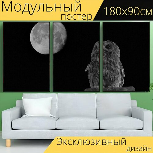 Модульный постер "Луна, сова, ночь" 180 x 90 см. для интерьера