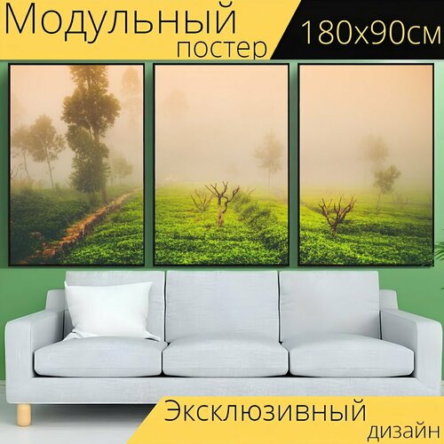 Модульный постер "Чай, туман, пейзаж" 180 x 90 см. для интерьера
