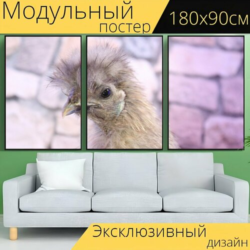 Модульный постер "Курица, домашняя птица, животное" 180 x 90 см. для интерьера