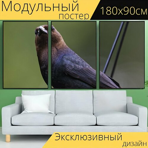 Модульный постер "Животное, птица, природа" 180 x 90 см. для интерьера
