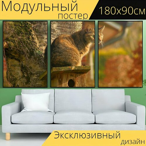 Модульный постер "Кошка, птичий домик, домашняя кошка" 180 x 90 см. для интерьера