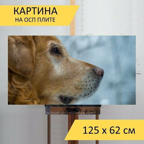 Картина на ОСП 125х62 см. "Собака, домашнее животное, снег" горизонтальная, для интерьера, с креплениями