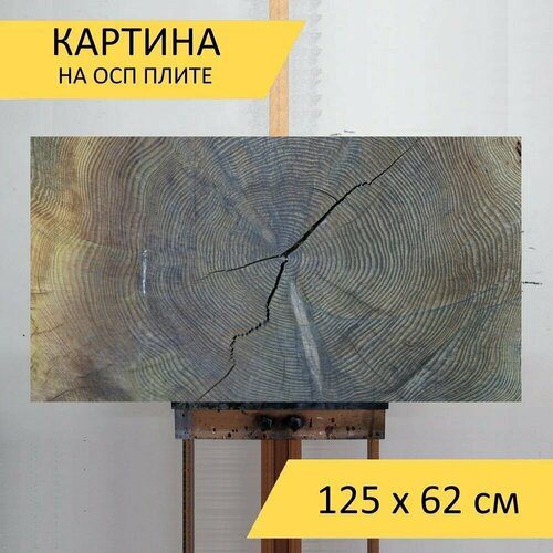 Картина на ОСП 125х62 см. "Годовые кольца, старый, дерево" горизонтальная, для интерьера, с креплениями