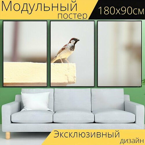 Модульный постер "Воробей, птица, дикая природа" 180 x 90 см. для интерьера