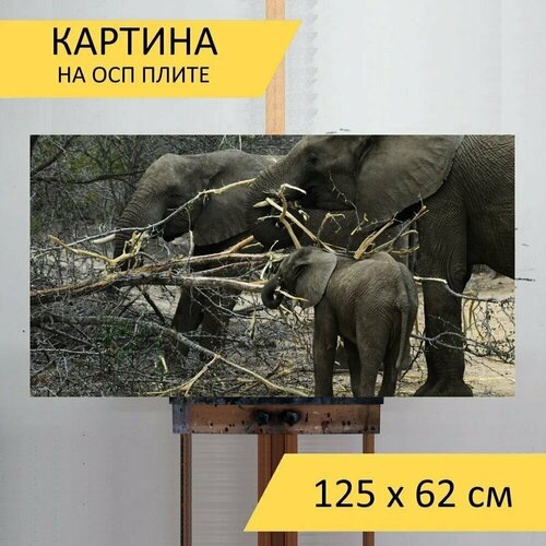 Картина на ОСП 125х62 см. "Слон, слоненок, саванновый африканский слон" горизонтальная, для интерьера, с креплениями