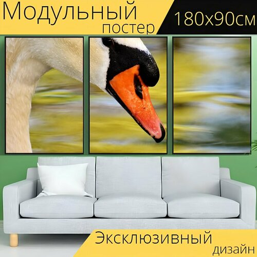 Модульный постер "Лебедь, водоплавающая птица, природа" 180 x 90 см. для интерьера