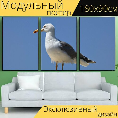 Модульный постер "Чайка, море, птица" 180 x 90 см. для интерьера