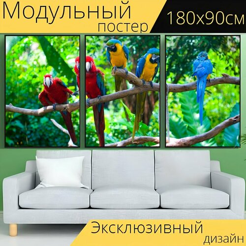 Модульный постер "Птицы, природа, красочный" 180 x 90 см. для интерьера