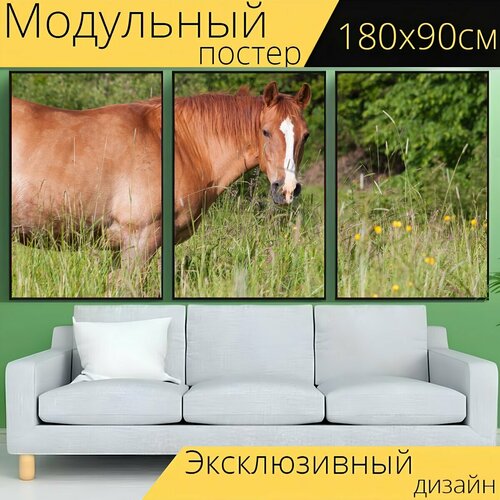 Модульный постер "Лошадь, коричневый, лиса" 180 x 90 см. для интерьера