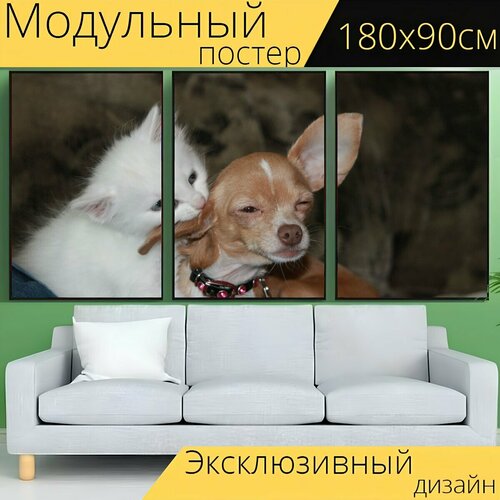 Модульный постер "Игра животных, собака, котик" 180 x 90 см. для интерьера
