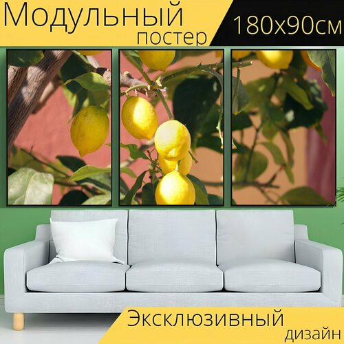 Модульный постер "Лимоны, желтый, лимонное дерево" 180 x 90 см. для интерьера