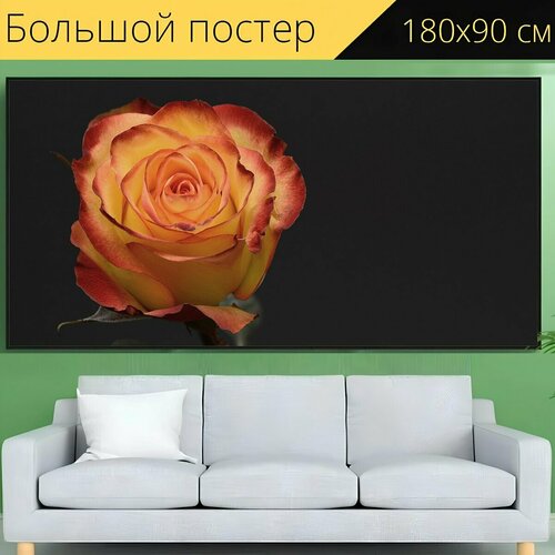 Большой постер "Роза, цветок, лепесток" 180 x 90 см. для интерьера