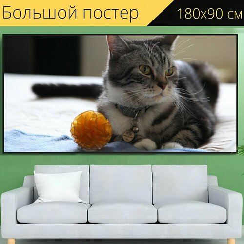 Большой постер "Котенок, игрушка, кошка" 180 x 90 см. для интерьера