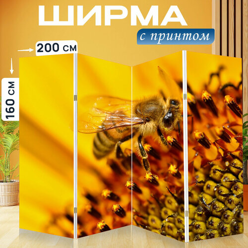 Ширма перегородка с принтом "Подсолнух, пчела, насекомое" на холсте - 200x160 см. для зонирования, раскладная