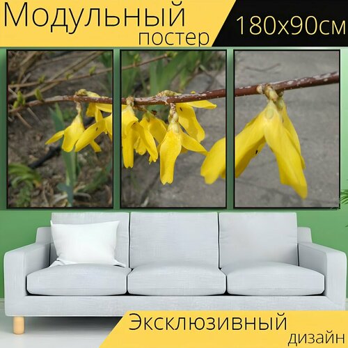 Модульный постер "Цветущий куст, весна, жёлтые цветы" 180 x 90 см. для интерьера