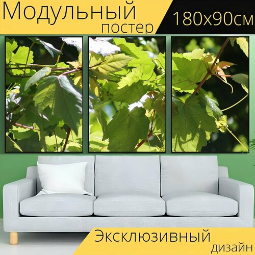 Модульный постер "Дерево, зеленый, лист" 180 x 90 см. для интерьера