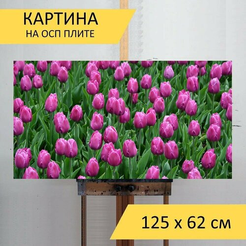 Картина на ОСП 125х62 см. "Тюльпаны, пурпурный, весна" горизонтальная, для интерьера, с креплениями