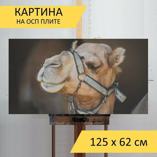 Картина на ОСП 125х62 см. "Верблюд, животное, голова" горизонтальная, для интерьера, с креплениями