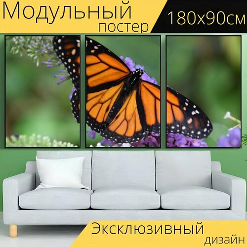 Модульный постер "Бабочка, монарх, чернить" 180 x 90 см. для интерьера