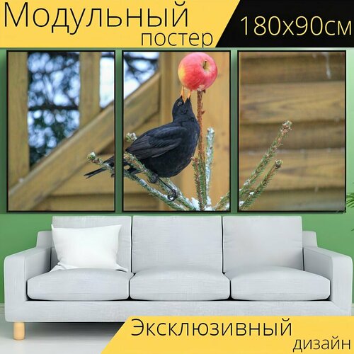 Модульный постер "Птица, черный дрозд, ель" 180 x 90 см. для интерьера