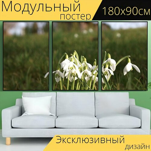Модульный постер "Подснежник, весна, цветок" 180 x 90 см. для интерьера