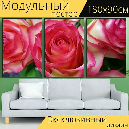 Модульный постер "Роза, розы, розоцветные" 180 x 90 см. для интерьера