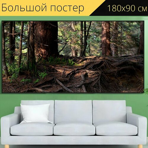 Большой постер "Корни, лес, природа" 180 x 90 см. для интерьера